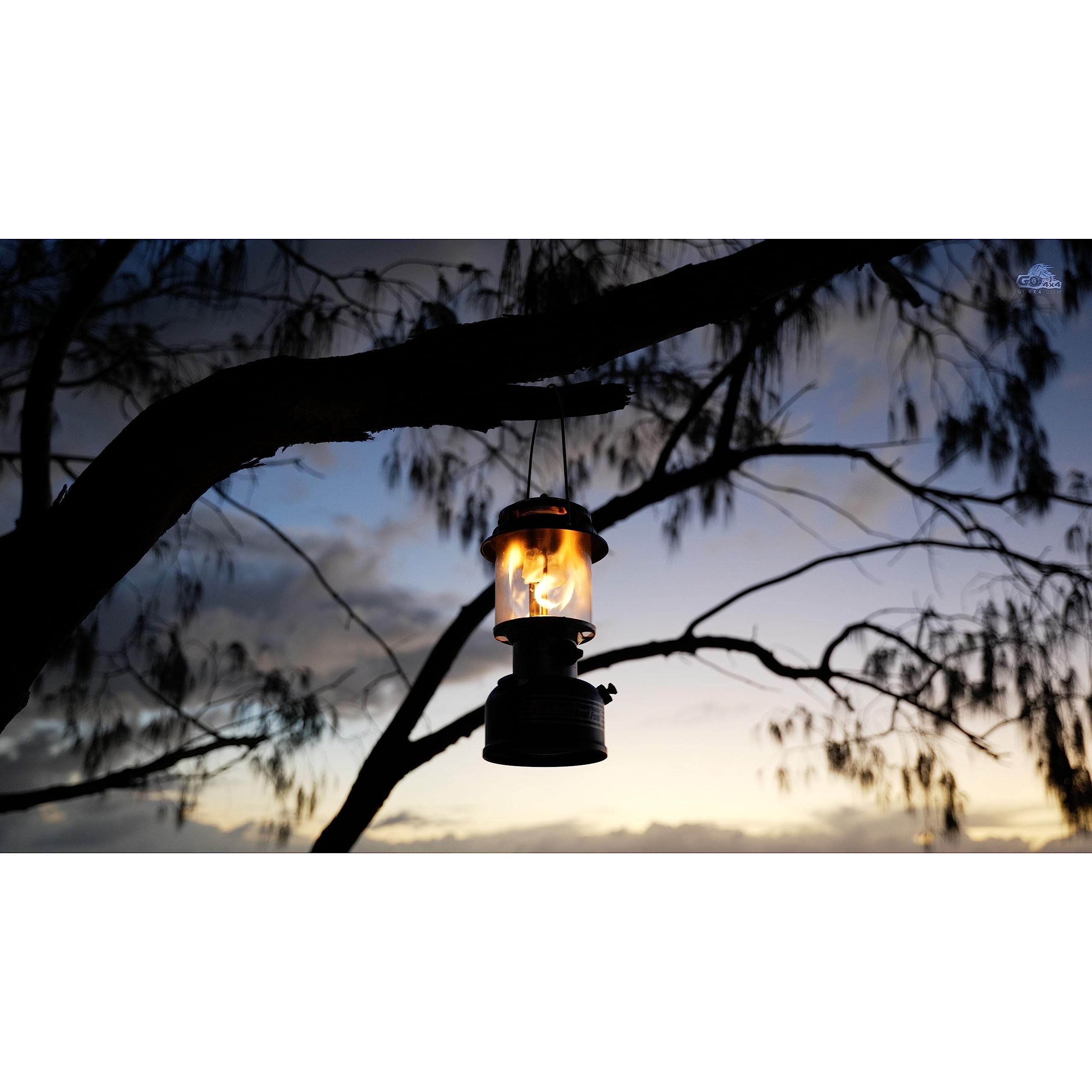 Coleman 3000004255 COLEMAN POWERHOUSE DUAL FUEL LANTERN | Boatplicity